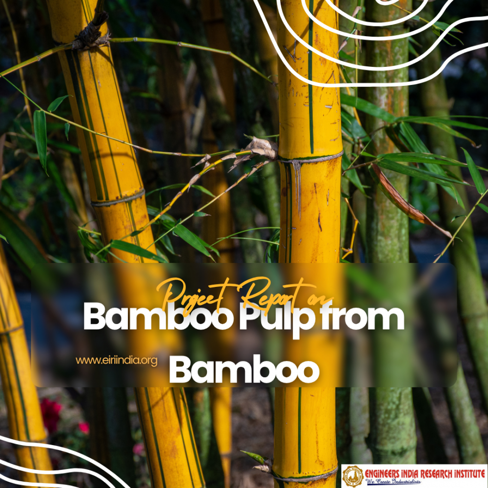 Bamboo pulp from bamboo (capacity: 2400 mt/day) | New small business ...