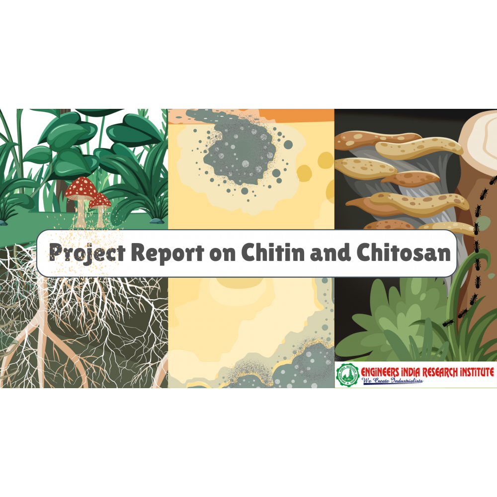 Chitin & Chitosan from Prawn Shell Waste (Cap: 4500 Kg/Day)