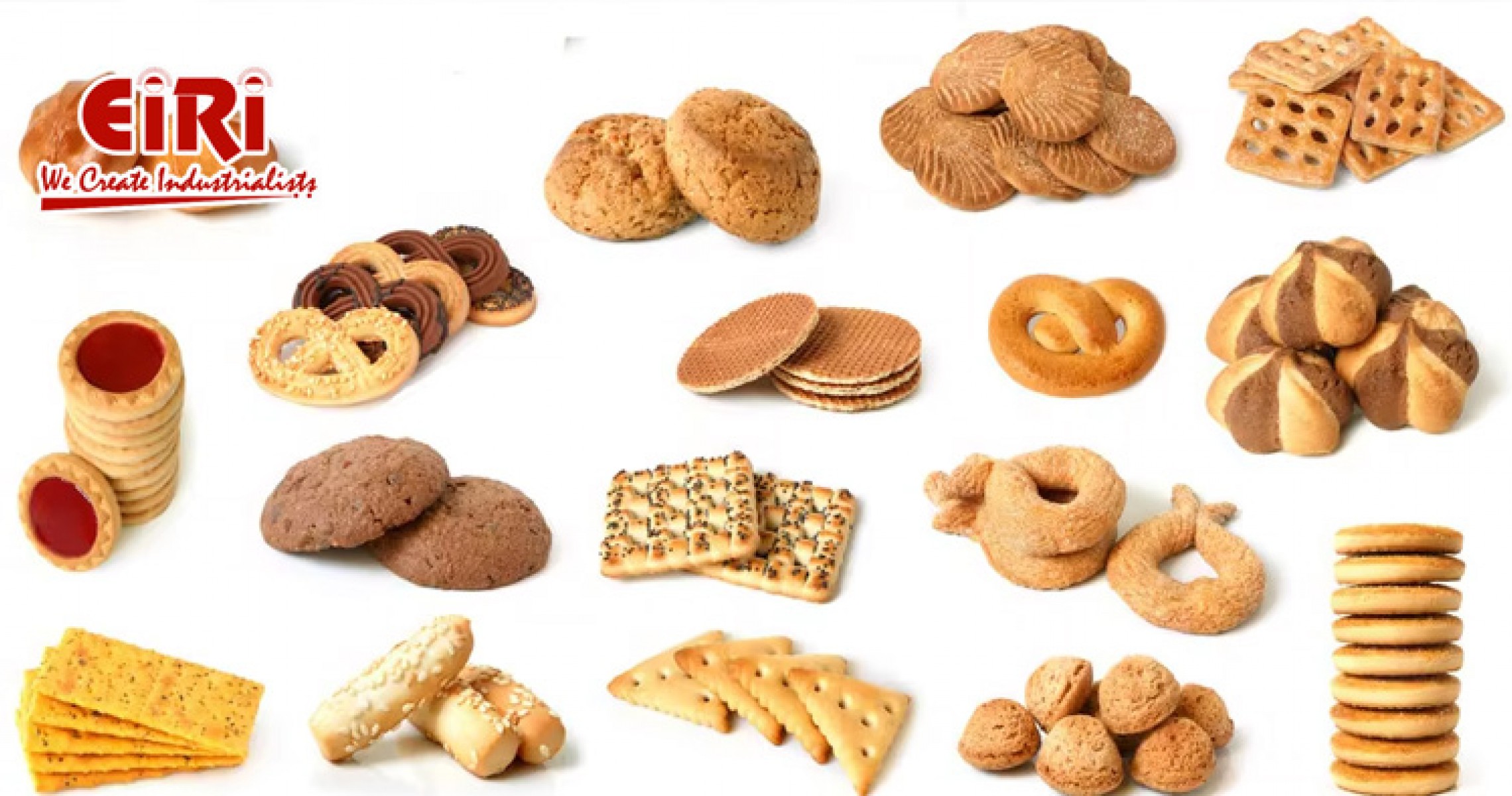 Biscuit Production Business | Small Scale Business Idea | Project ...