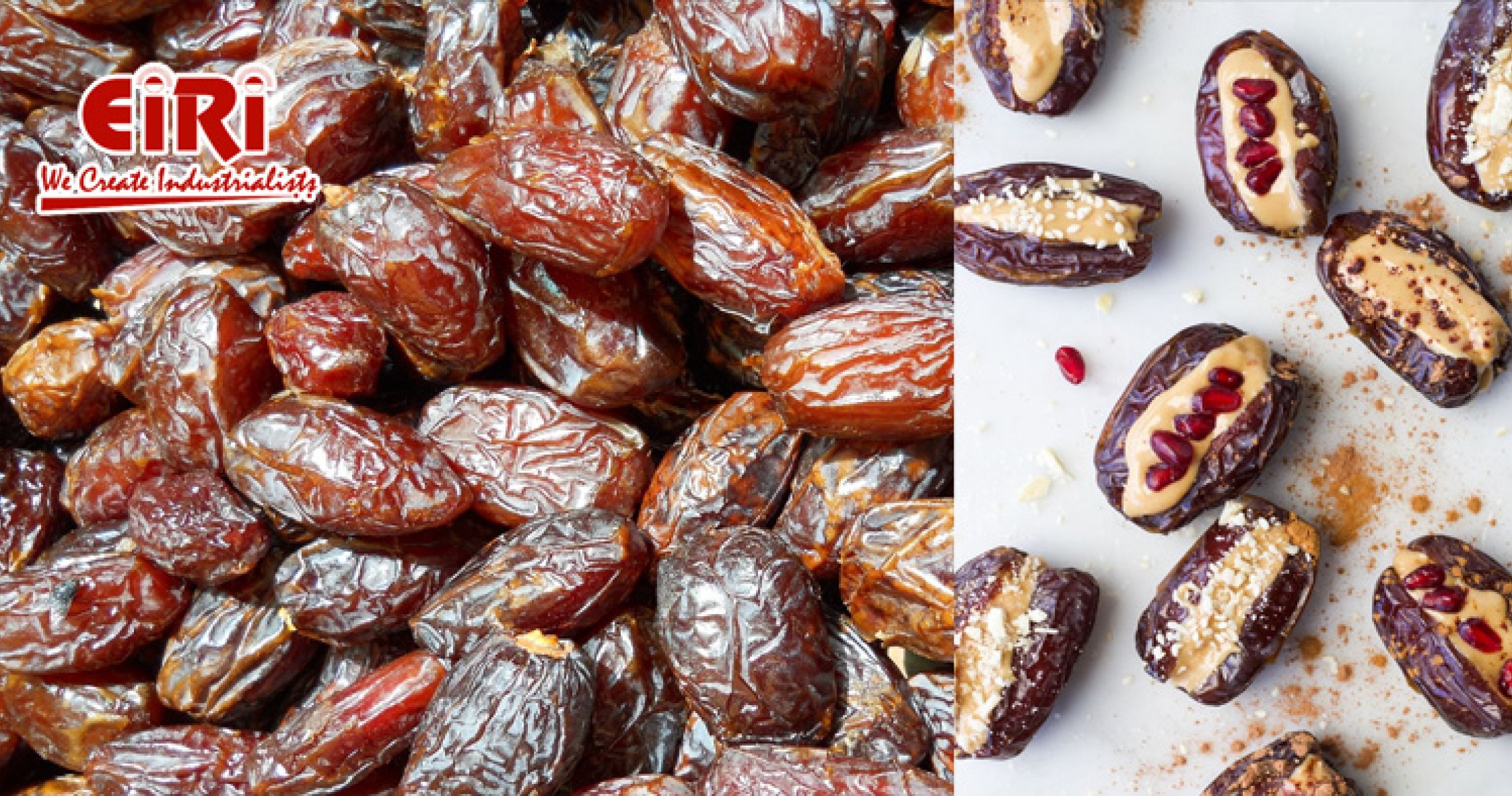 Date Fruit Processing Industry | Small Scale Profitable Business Idea ...