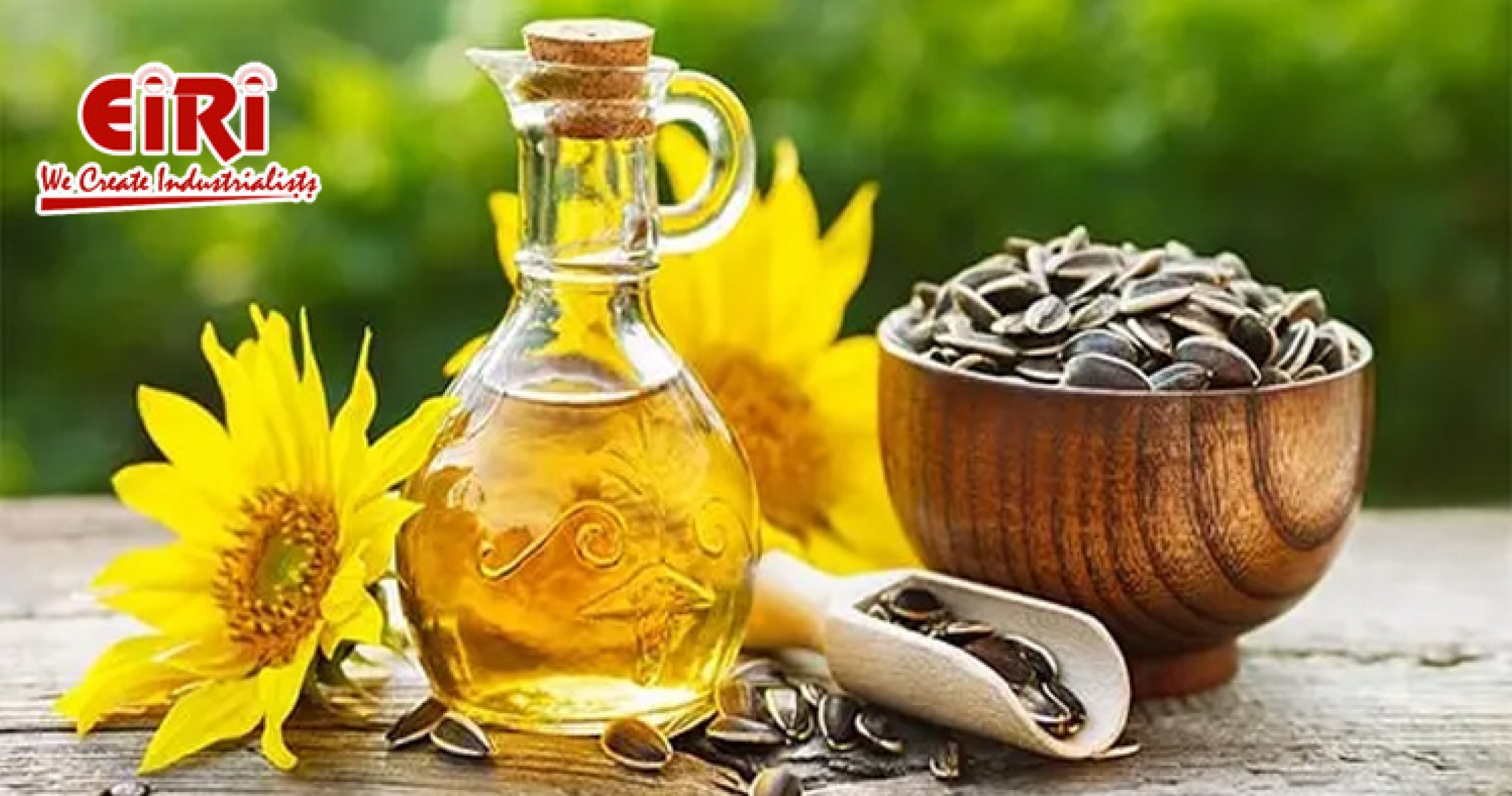 Edible Oils Processing Business in India | Small Scale Business Idea ...