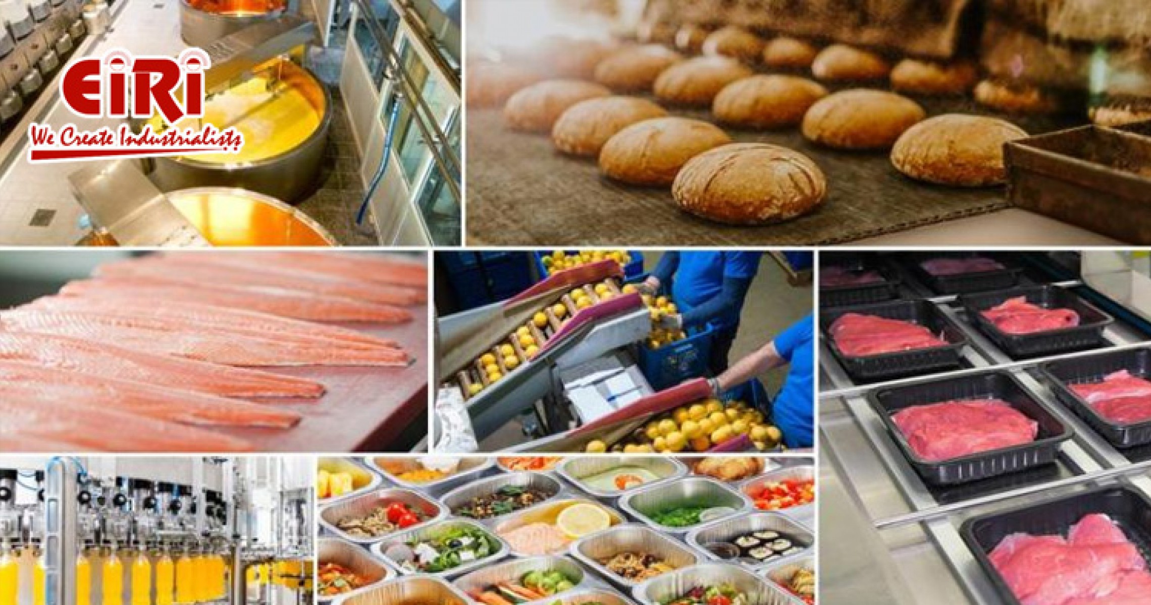 Exploring New Horizons: Emerging Business Ideas in the Food Processing ...