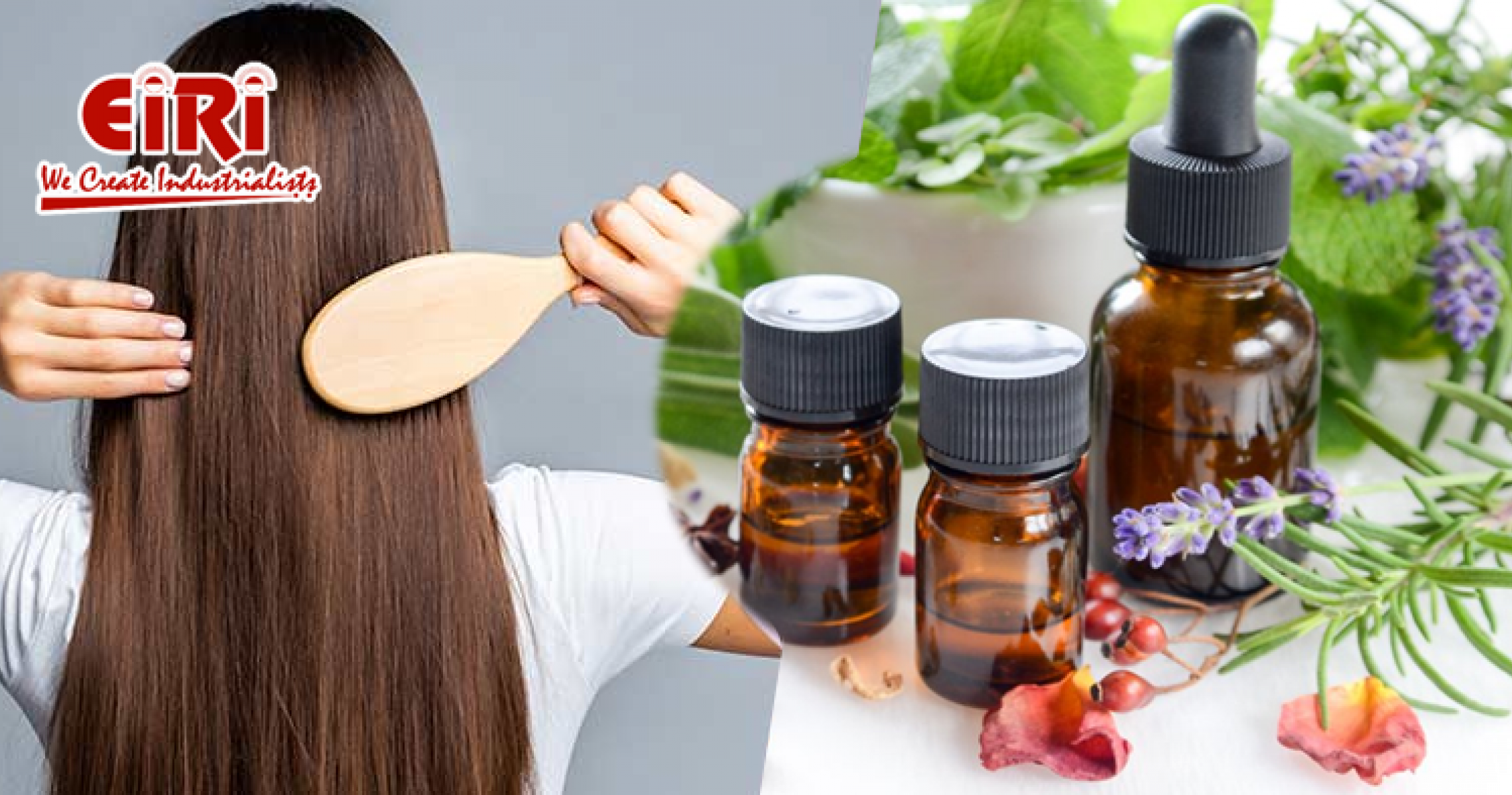 Hair Oil Manufacturing Business and Market Forecast - Project Report ...