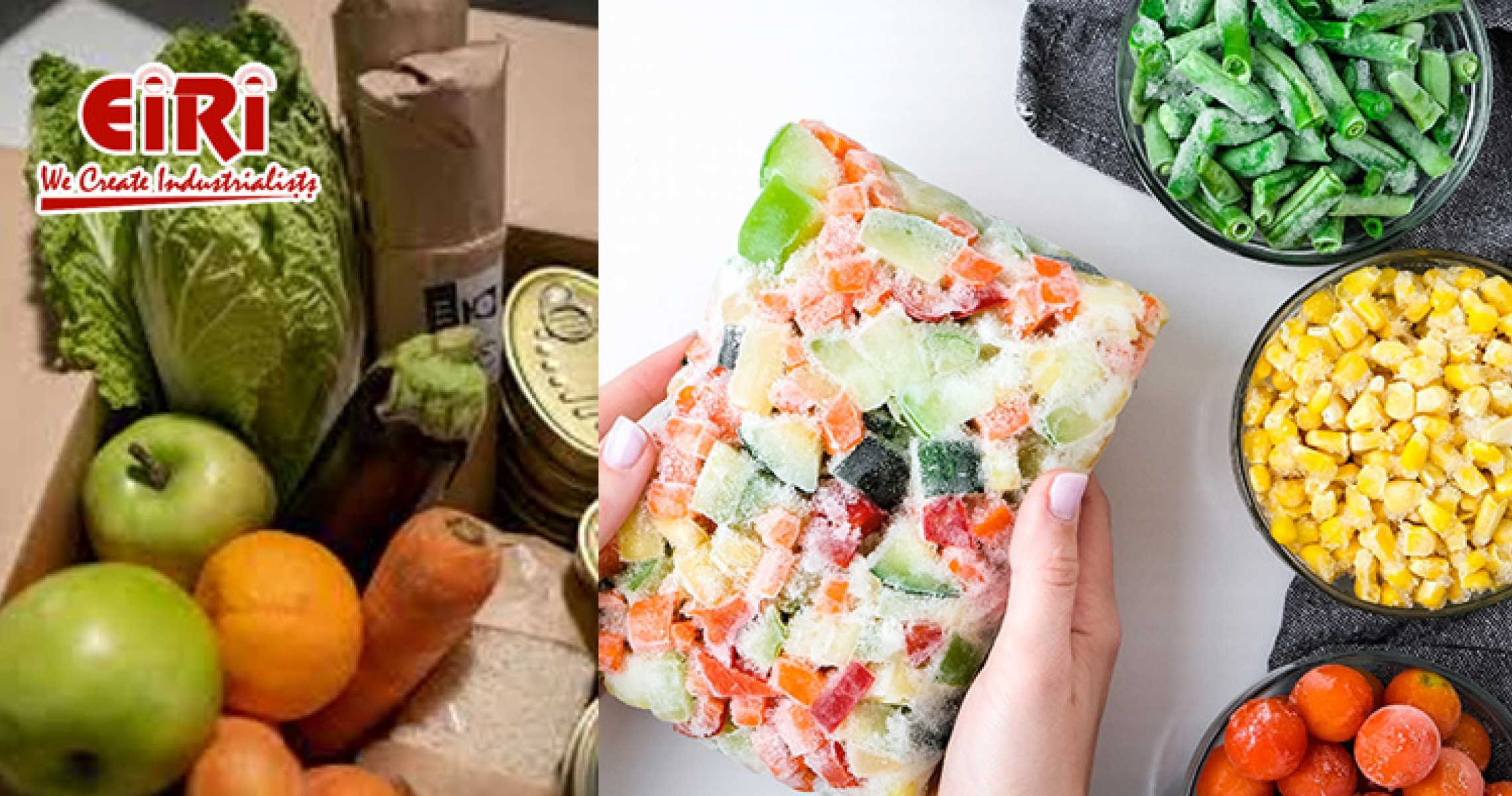 How to Start a Cold Storage Business for Fruits, Vegetables, and Dairy