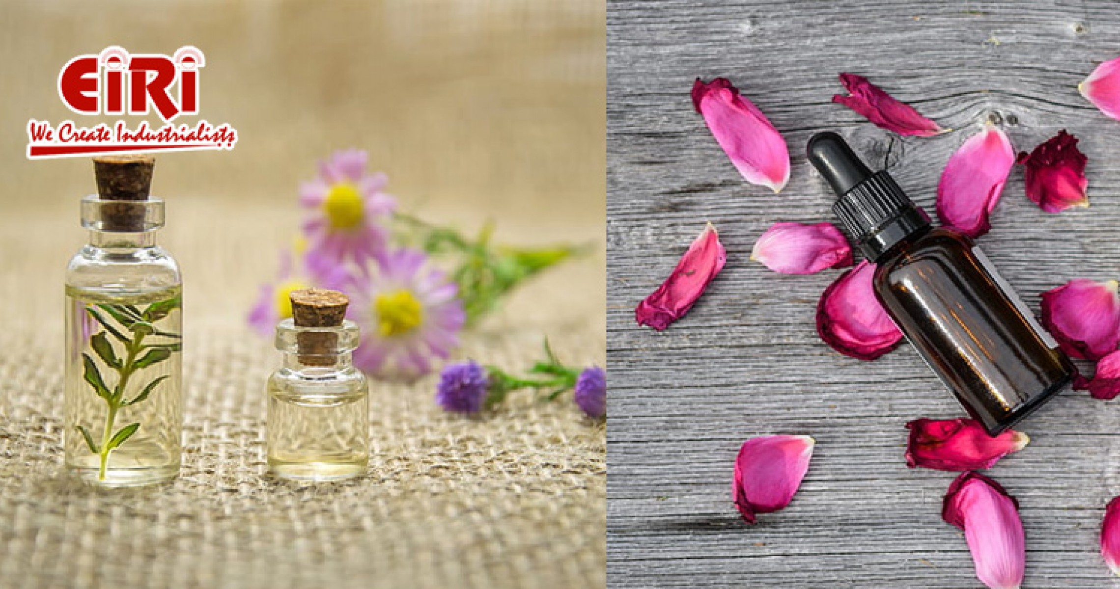 Fragrance Factories: Innovations Driving the Perfume, Flavor ...